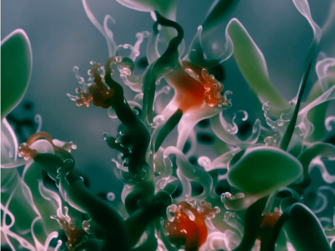 Beyond science and fiction - hube magazine