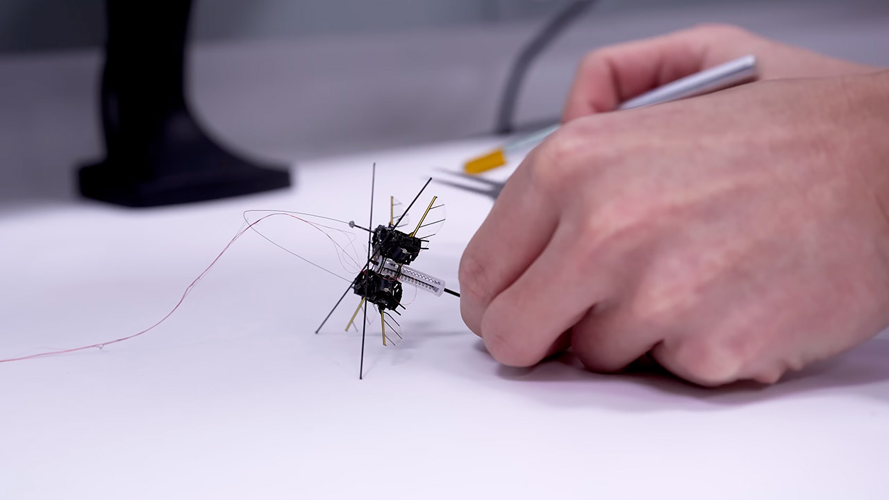 MIT unveiled a tiny robot: a leap forward in bio-inspired robotics ...